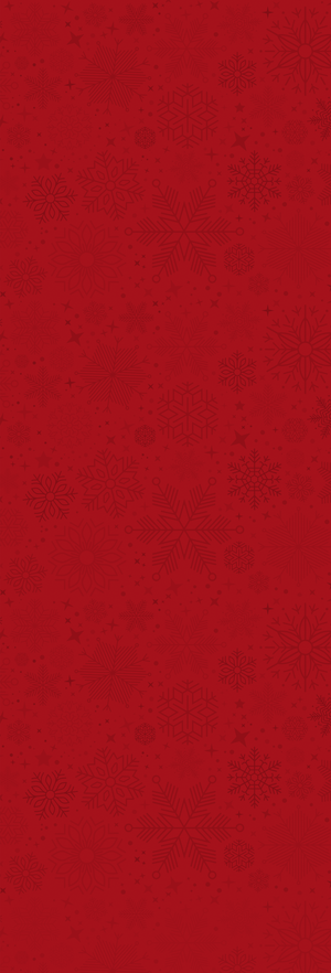 Holiday Seasoning (Deluxe) Digital Album - Jimmy Fallon Official Store